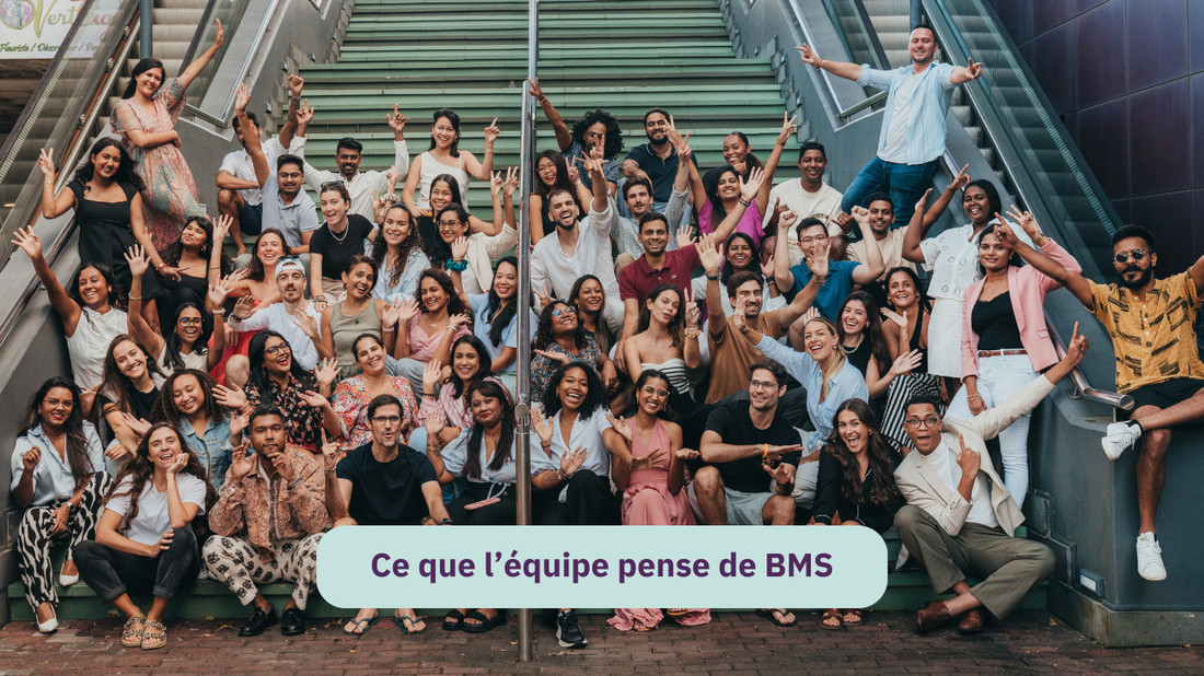 Meet the team – BMS International